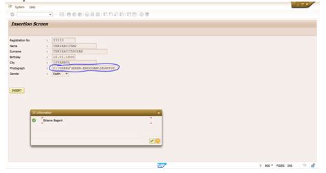 GitHub Psycronos SAP ABAP Employee Management My Internship Project Employee Management System