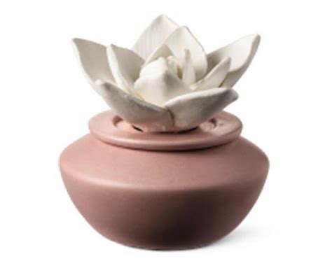 Huntington Home Essential Oil Diffuser Aldi Us Specials Archive