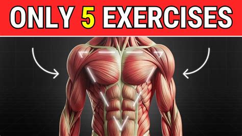 How To Get A Perfect V Shaped Body Only 5 Exercises Youtube