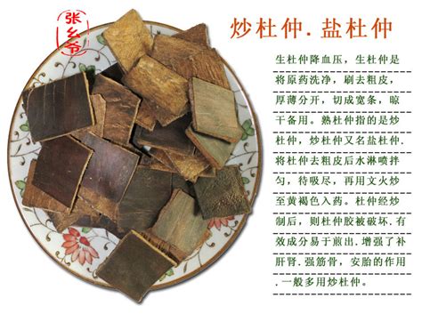 杜仲散 仲补骨膏 仲叶 第10页 大山谷图库