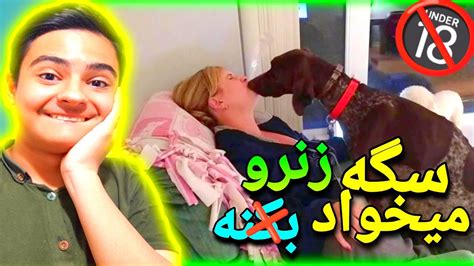 جفت گیری انسان با سگ 🔞😯😂 Youtube
