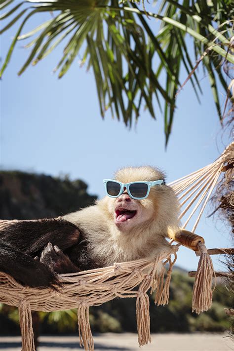 Naked Turtle My Friends Call Me Anf