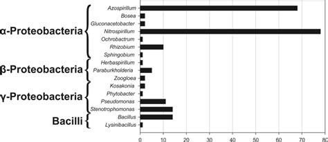 Distribuition Of Proteobacteria Classes And Genera Associated With 20