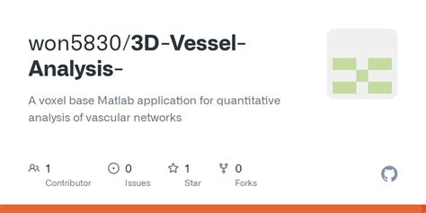 Github Won58303d Vessel Analysis A Voxel Base Matlab Application For Quantitative Analysis