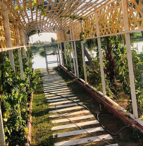 مكتب ابن حامد لديكور Fallujah