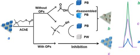 Electrochemiluminescent Resonance Energy Transfer Sensor For Malathion