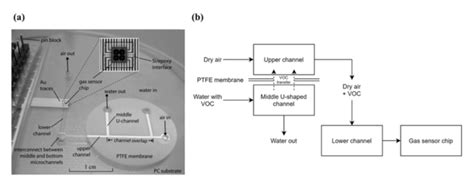Microfluidics In Gas Sensing Encyclopedia MDPI