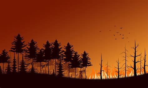 Forest Fire Flat Vector Illustration Burning Forest Spruces In Fire