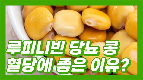 루피니빈 콩 효능 당뇨에 좋은 콩으로 주목받는 이유 Youtube