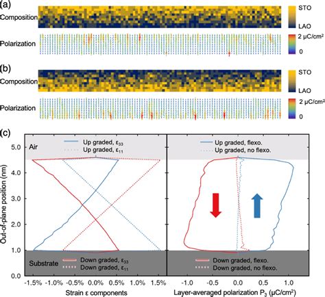 Phase Field Simulation Of Sto Lao Solid Solutions With Compositional Download Scientific