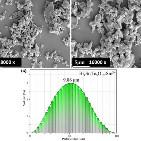 Sem Micrographs At × 8000 A And × 16000 B Magnification Of