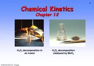 Ppt Chapter Linear Kinetics Of Human Movement Powerpoint Presentation Id