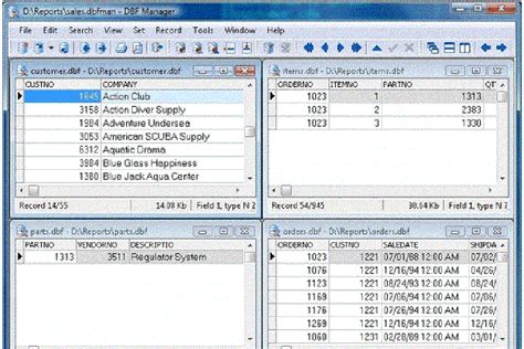 Como Utilizar Dbf Manager Lokasinstories