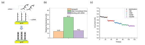 Rapid Detection Of Methicillin Resistant Staphylococcus Aureus Mrsa Using Electric Double