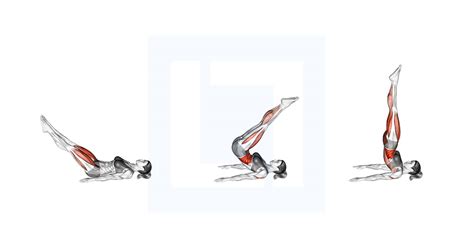 Curl Up Guide Benefits And Form