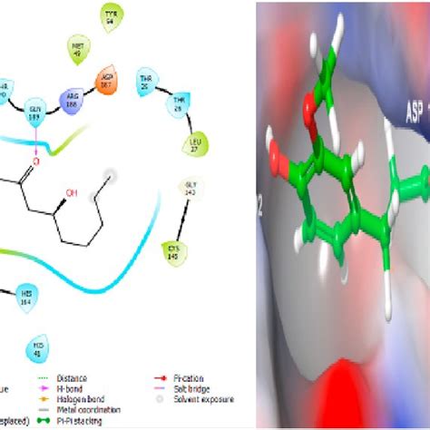 E 2D And 3D Representations Of SARS CoV 2 3C Like Protease Gingerol