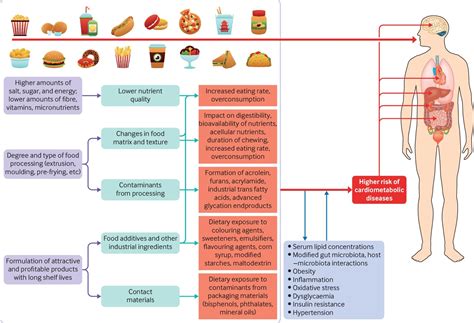 Time To Inform The Public About The Adverse Effects Of Ultra Processed