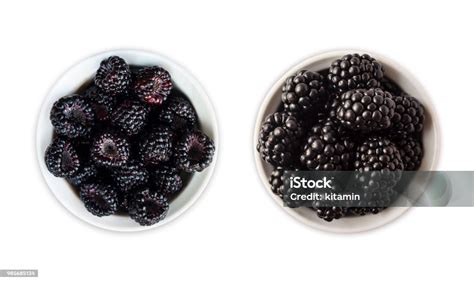 블랙베리 텍스트 복사 공간 그릇에 흰색 배경에 고립 익 고 맛 있는 검은 베리 검은색 라즈베리에 대한 스톡 사진 및 기타 이미지 검은색 라즈베리 흰색 배경 0명