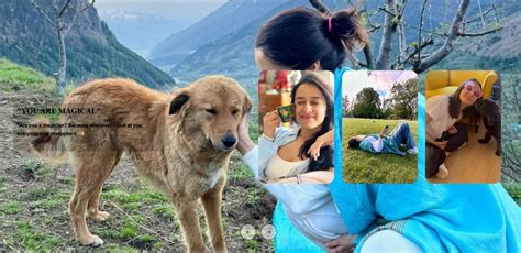 Continuouslearning Curiosity Webdevlopment Crush Kushagra Shukla