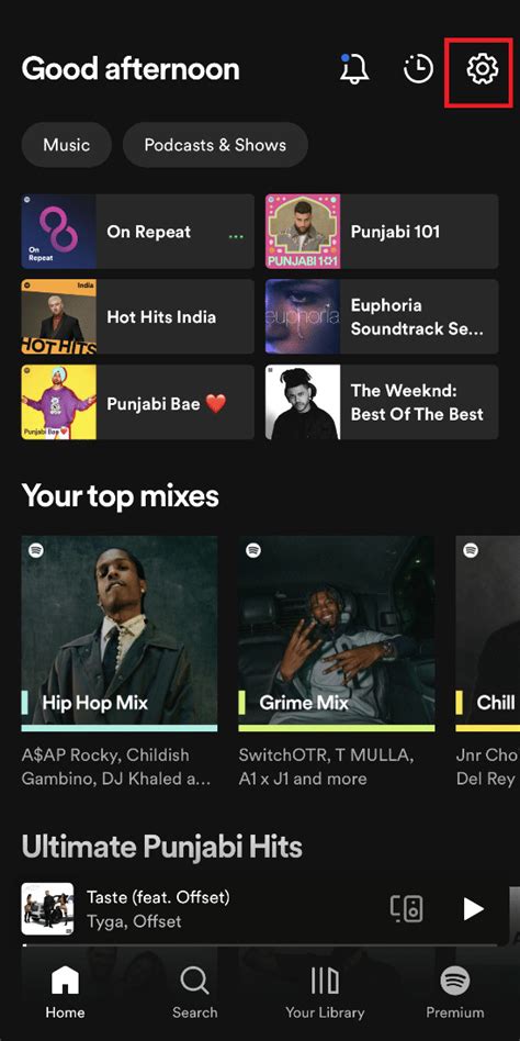 Spotify Stops Playing After 10 Seconds Iphone Fixed Techcult