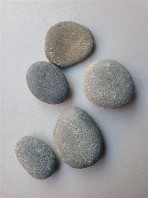 10 Flat Rocks 4 Inchs To 5 Inches Flat Medium Rocks Cairn Stones Pnw