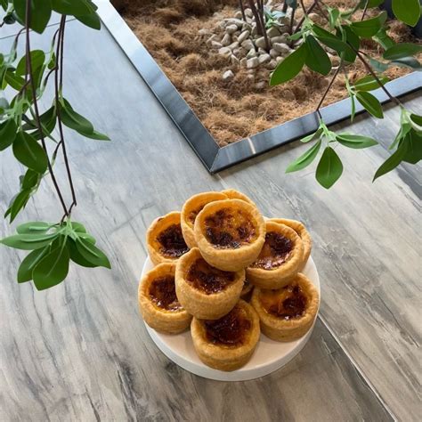 디디얌베이커리 디디얌 크림브륄레 치즈케이크 메론치즈케이크 경산베이커리카페 Instagram