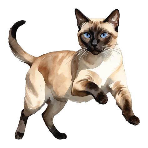 Ilustración De Pintura En Acuarela Dibujada A Mano Por Un Gato Siamés