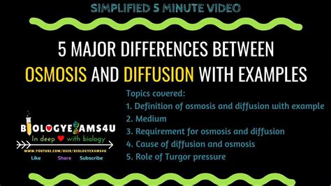 5 Major Differences Between Osmosis And Diffusion With Examples Youtube