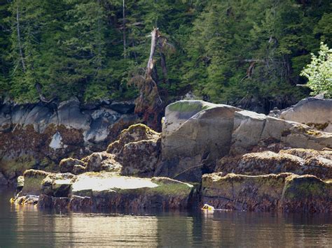 P6061559 Gene Salassi Flickr