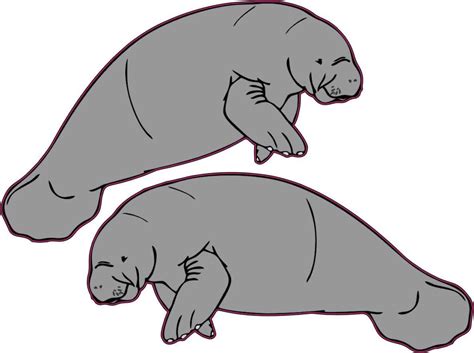 Stickertalk Manatee Vinyl Stickers 1 Sheet Of 2 Stickers 3 Inches X 2