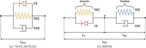 Schematic Structure Of The Hill Type Muscle Material Models A Three