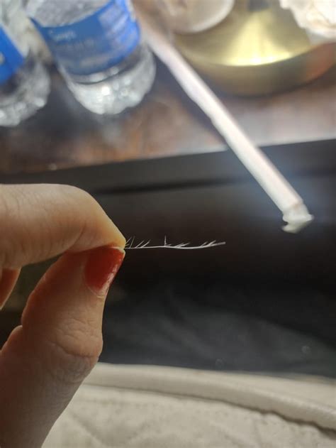 Acceptable Lol Rsplitends