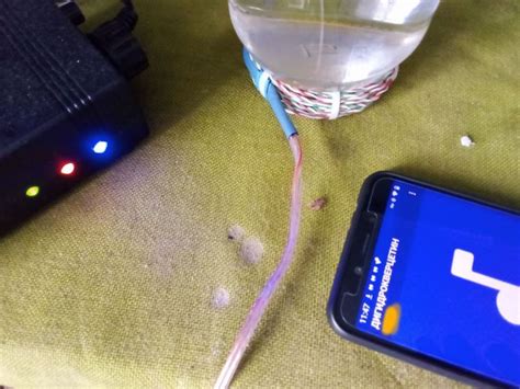 Срећко Брадић On Linkedin Ето почо да испитујем резонантну матрицу дихидрокверцентина Најјачи…