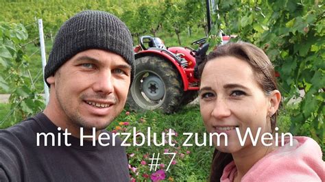 Mit Herzblut Zum Wein Vlog 7 Herbizid Freier Rebberg Youtube