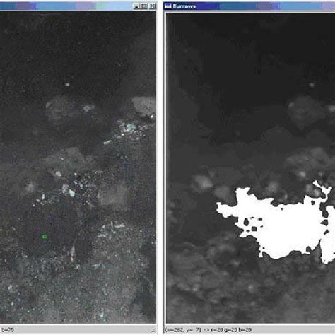 Feature Detection Using Region Growing Left Input Image With The