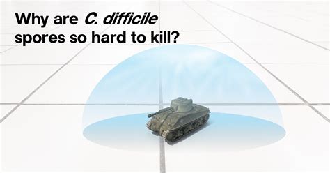 Why Are C Difficile Spores So Hard To Kill