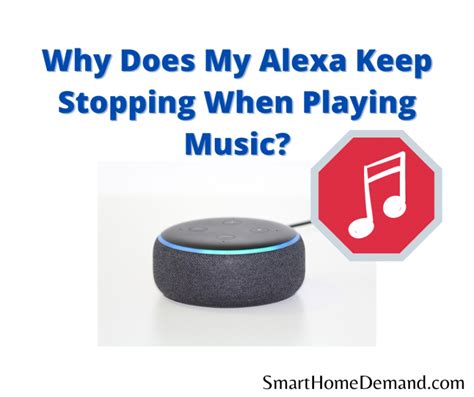 Why Does My Alexa Keep Stopping When Playing Music 6 Main Reasons Why