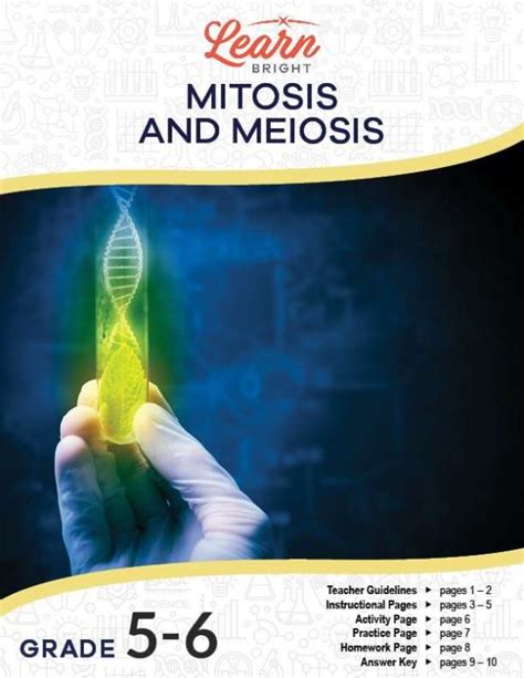 Mitosis And Meiosis Free Pdf Download Learn Bright