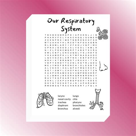 Respiratory System Word Search Word Search Boss
