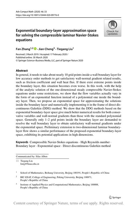 Exponential Boundary Layer Approximation Space For Solving The Compressible Laminar Navier