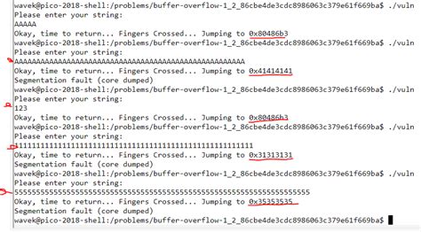 Picoctf 2018 Binaryexploitation 駭客貓咪 Hackercat