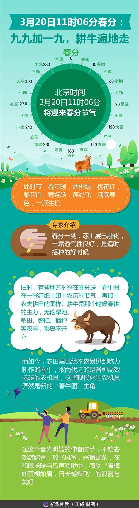 （图表）节令之美·春分｜3月20日11时06分春分：九九加一九，耕牛遍地走新华社生机桃花