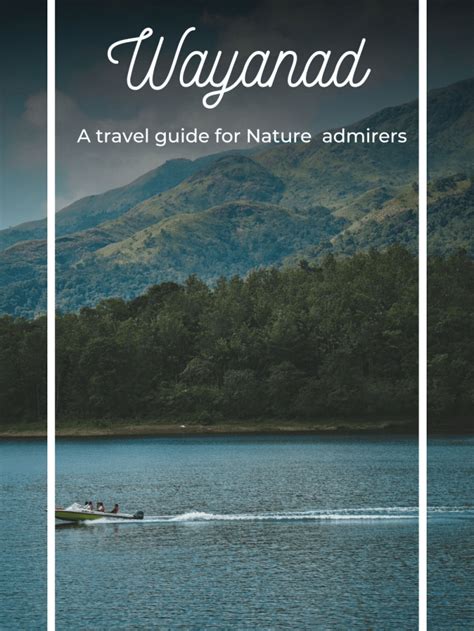 Wayanad Travel Guide Savaari Car Rentals Blog