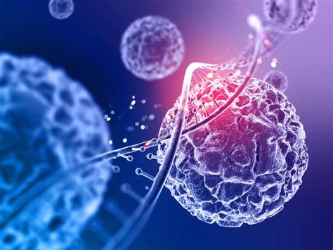 Metabolismo O Que é Metabolismo e Para Que Serve