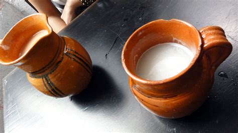 El pulque la bebida de los dioses Cocina con Alegría