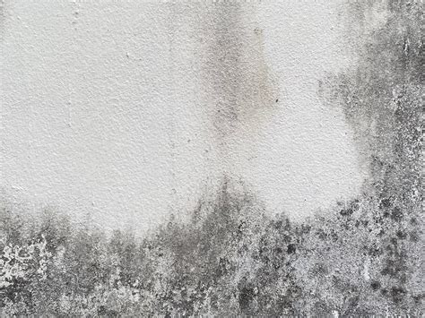 Premium Photo A White Wall With Black Mold On It