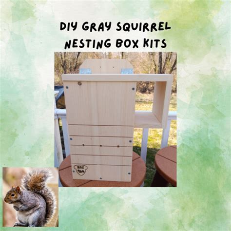 Diy Gray Squirrel Nesting Box Kit