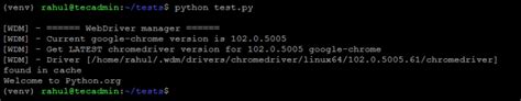 Setting Up Selenium With Python And Chrome Driver On Ubuntu