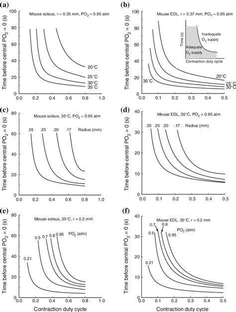 Time Between Start Of Contractile Activity And Development Of Central Download Scientific