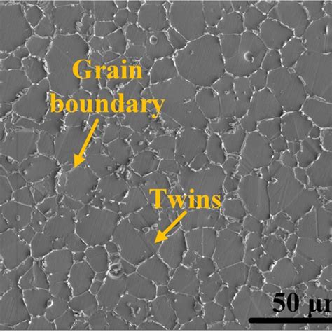 Microstructure Of The Gh4169 Superalloy Download Scientific Diagram